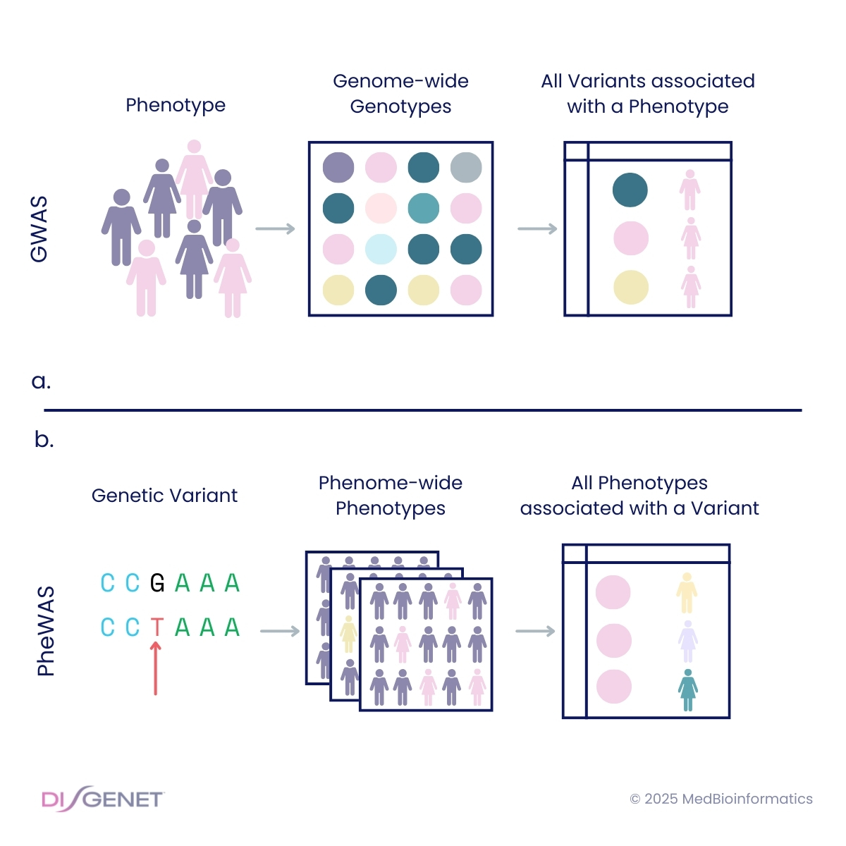The Most Extensive & Reliable Gene-Disease Database | DISGENET